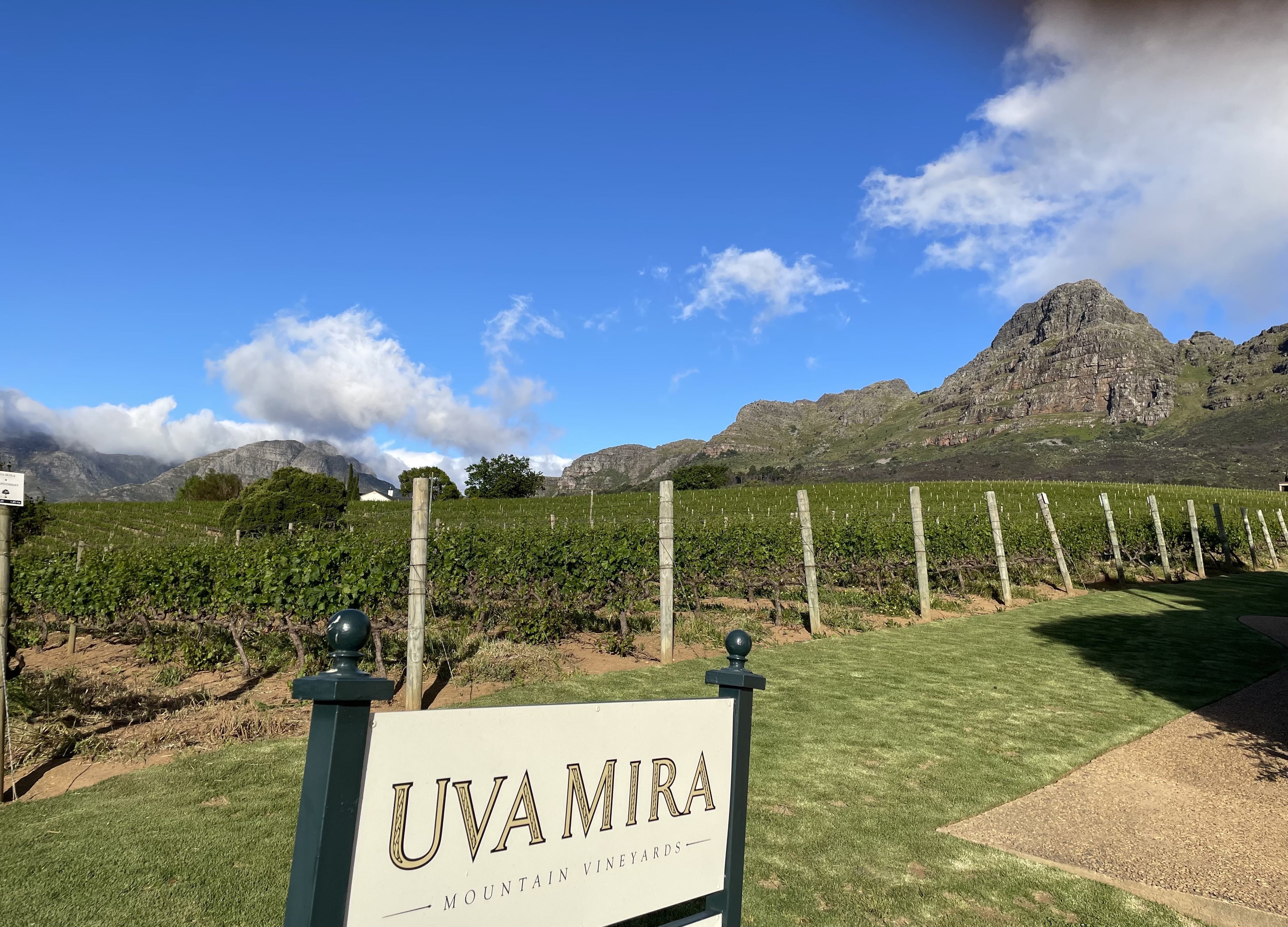 South Africa Annual Report: Finding Beauty in the Extremes