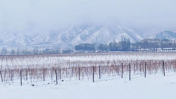 Top 100 Wines of China 2023 by JamesSuckling.com