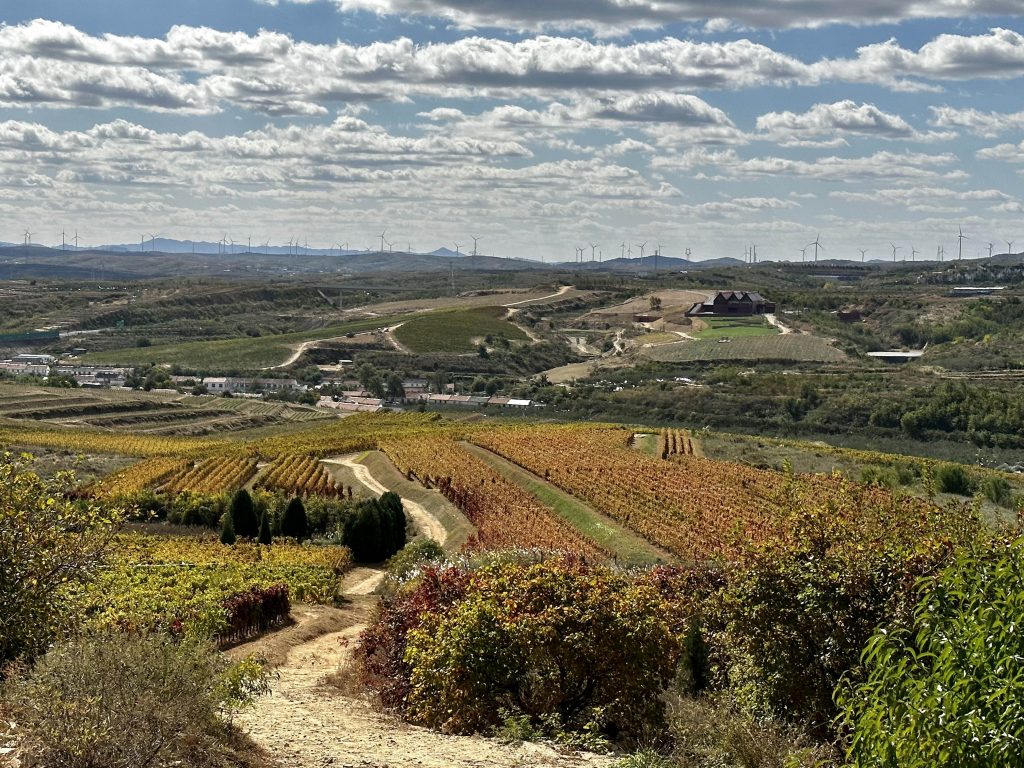 Top 100 Wines of China 2023 by JamesSuckling.com