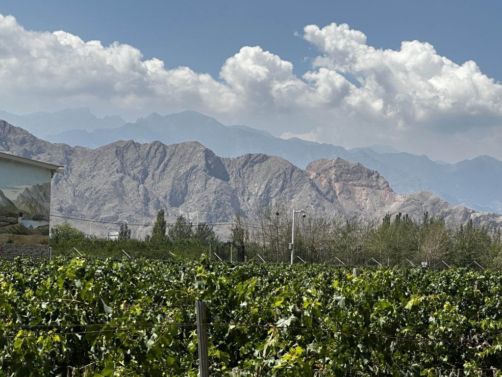 Top 100 Wines of China 2023 by JamesSuckling.com